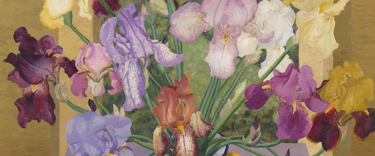 British Iris Society – Promote, improve and extend the cultivation of ...