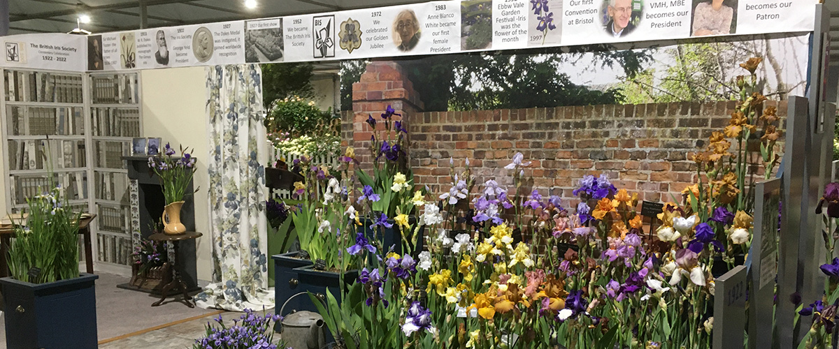 British Iris Society – Promote, improve and extend the cultivation of ...
